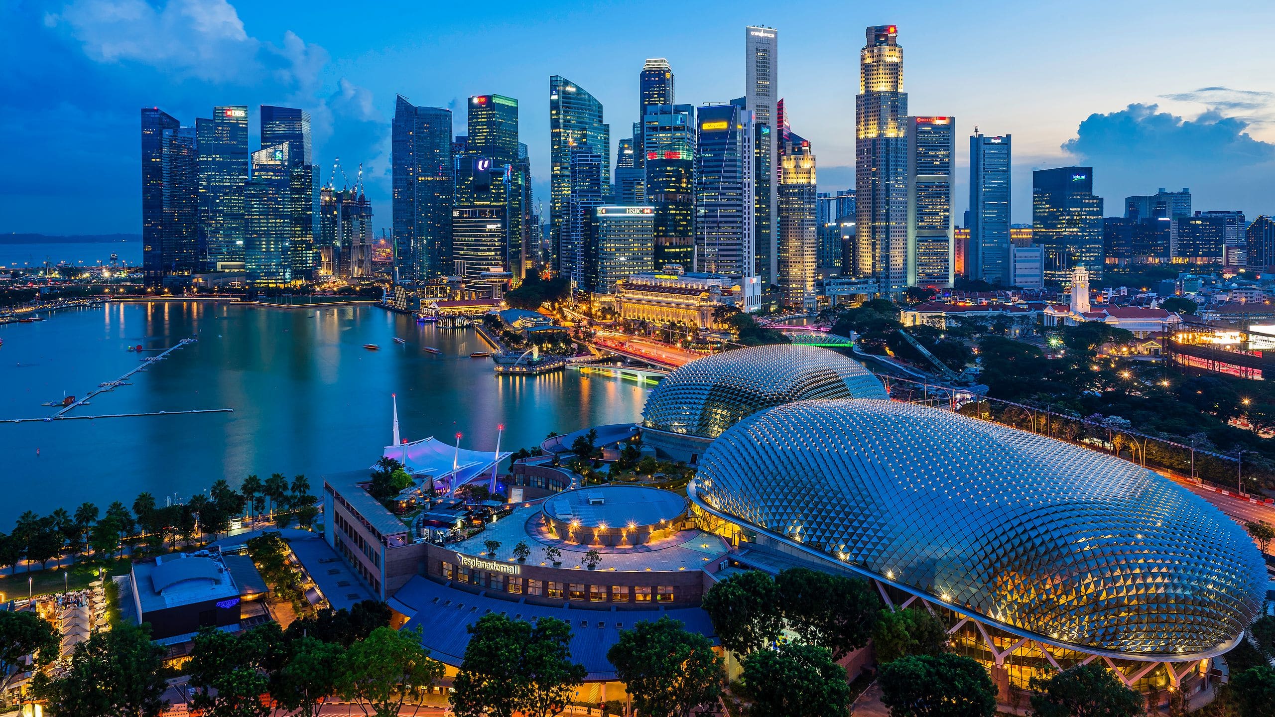 Investment Hub Singapore Diplomatic Council